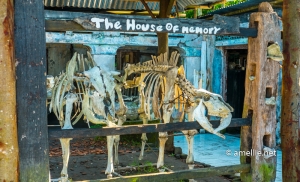 Everything You Need to Know Before Visiting Mt Merapi of Java ...